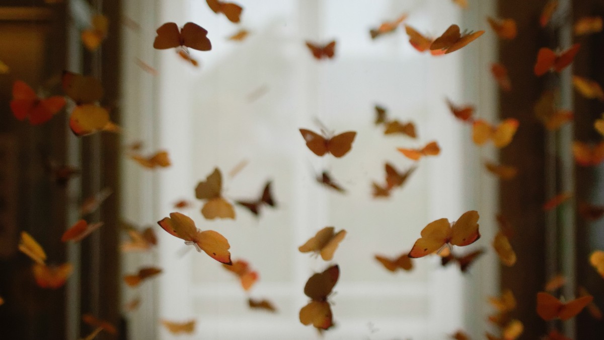 The butterfly effect of global marketing transformation - World ...